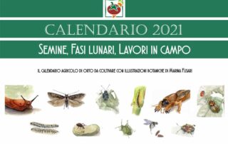 Calendario dell'orto | Orto da Coltivare