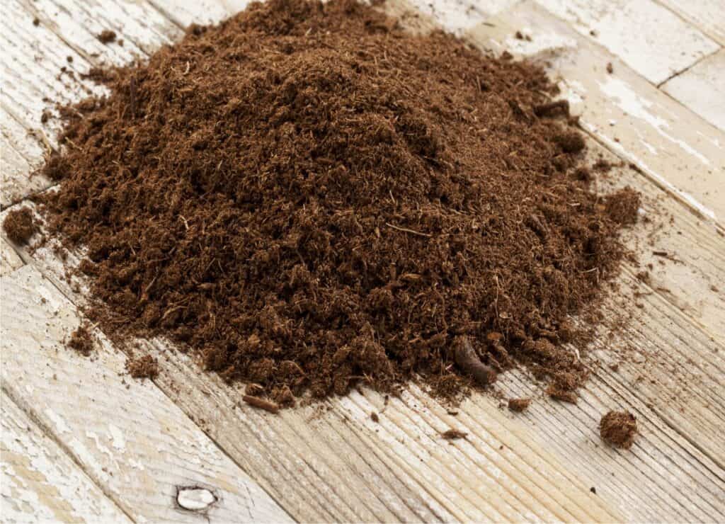 Torba: caratteristiche, problemi ecologici, alternative