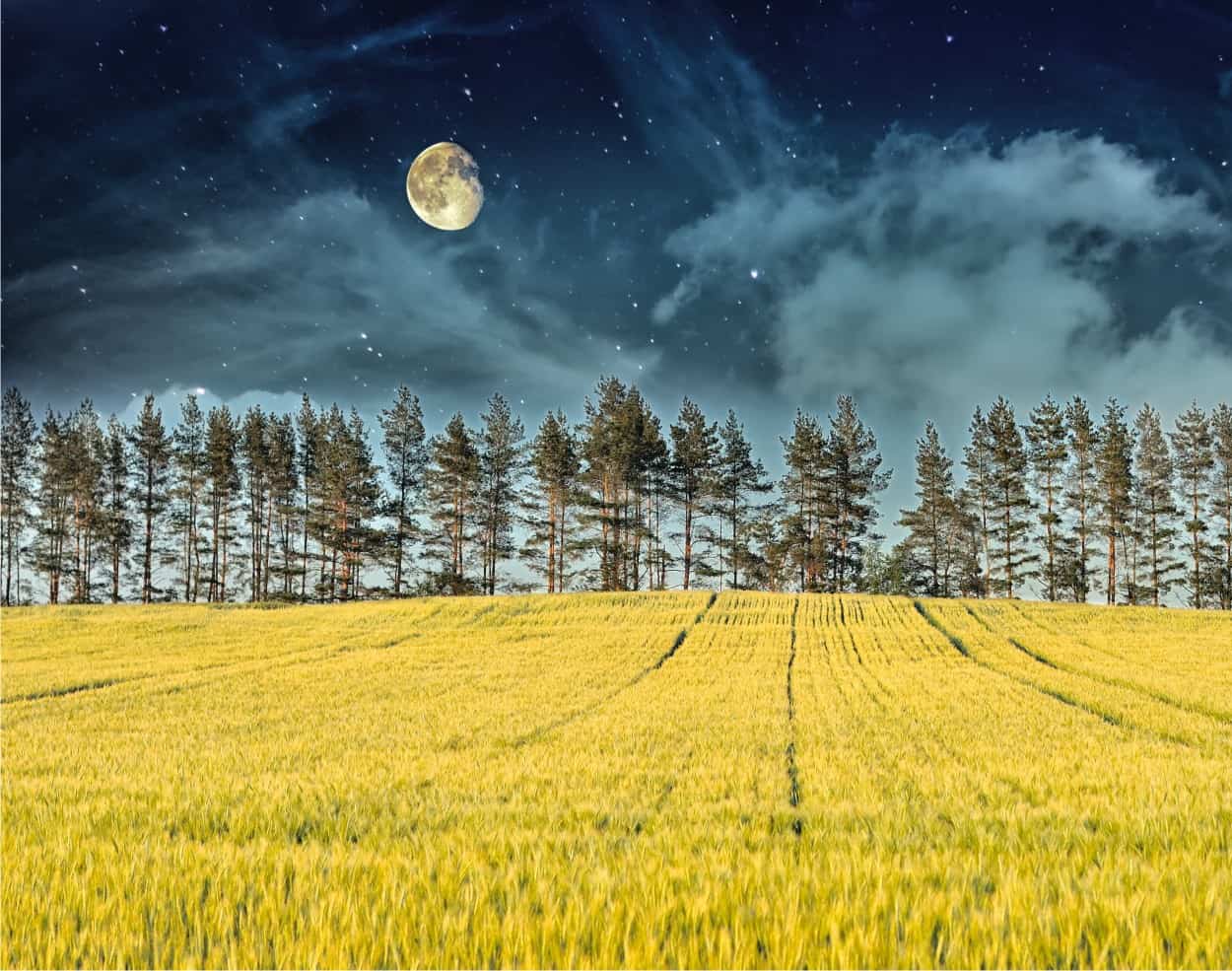 Fasi lunari: la luna oggi e il calendario lunare 2026
