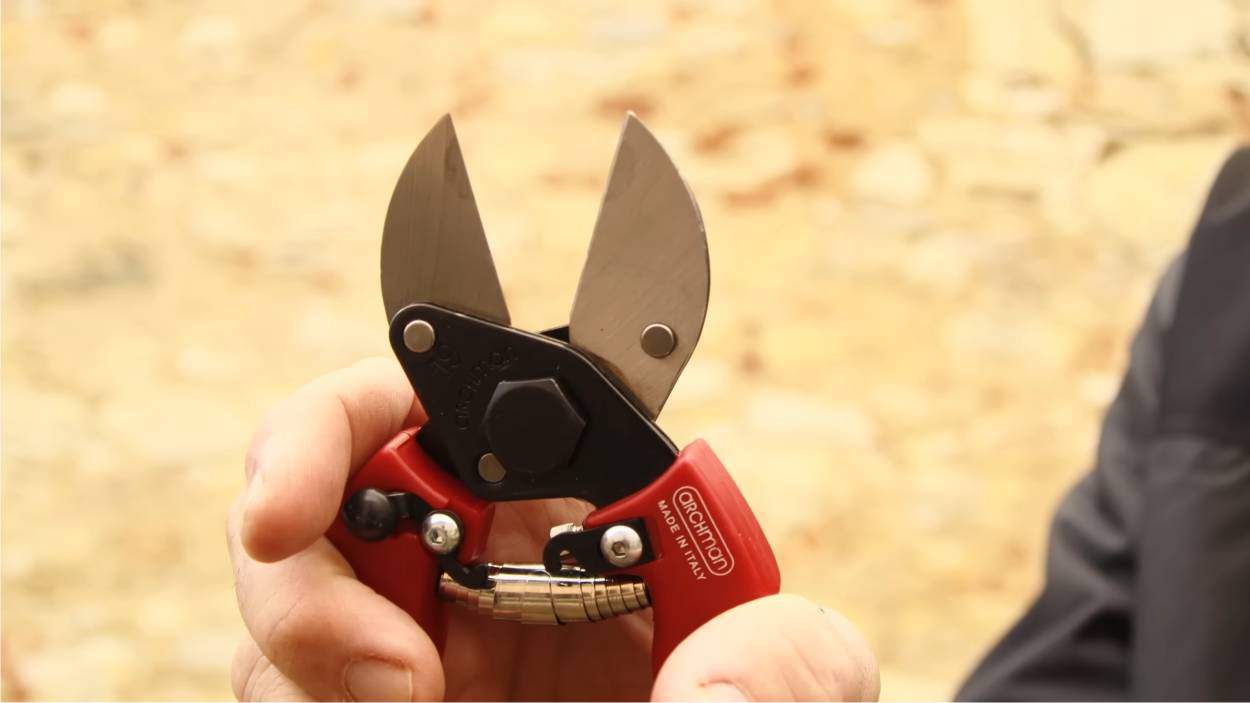 Come disinfettare le forbici da potatura