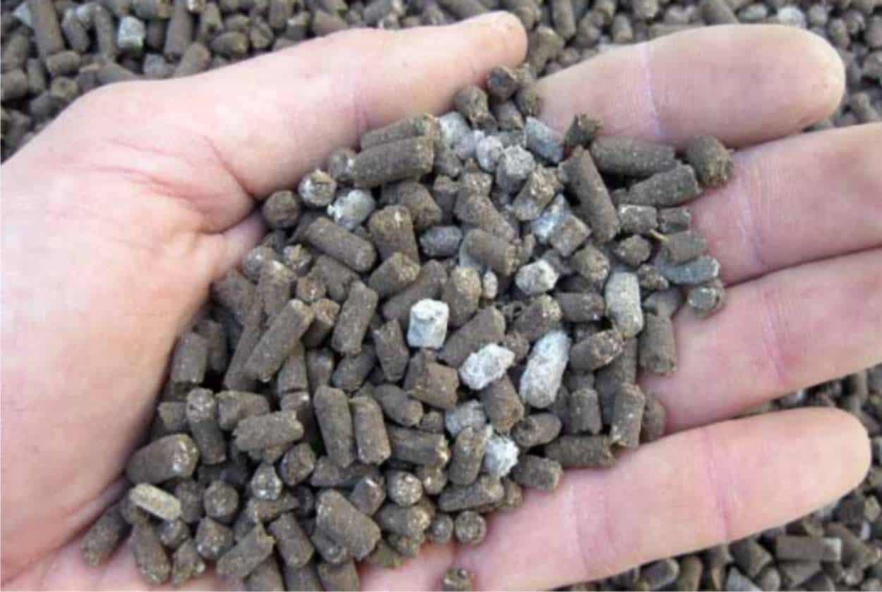 Concime liquido fai da te: come autoprodurlo dallo stallatico