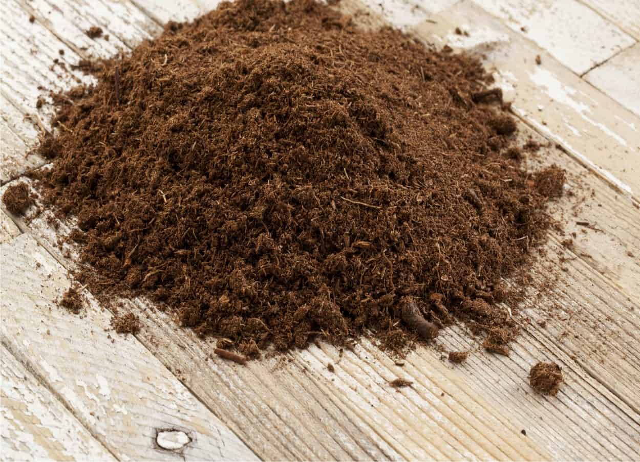 Torba: caratteristiche, problemi ecologici, alternative